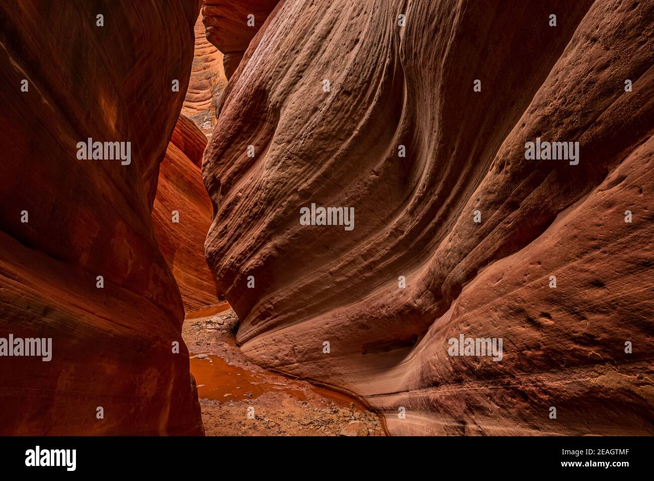 The stunningly beautiful narrow slot canyon known as Red Canyon, aka ...