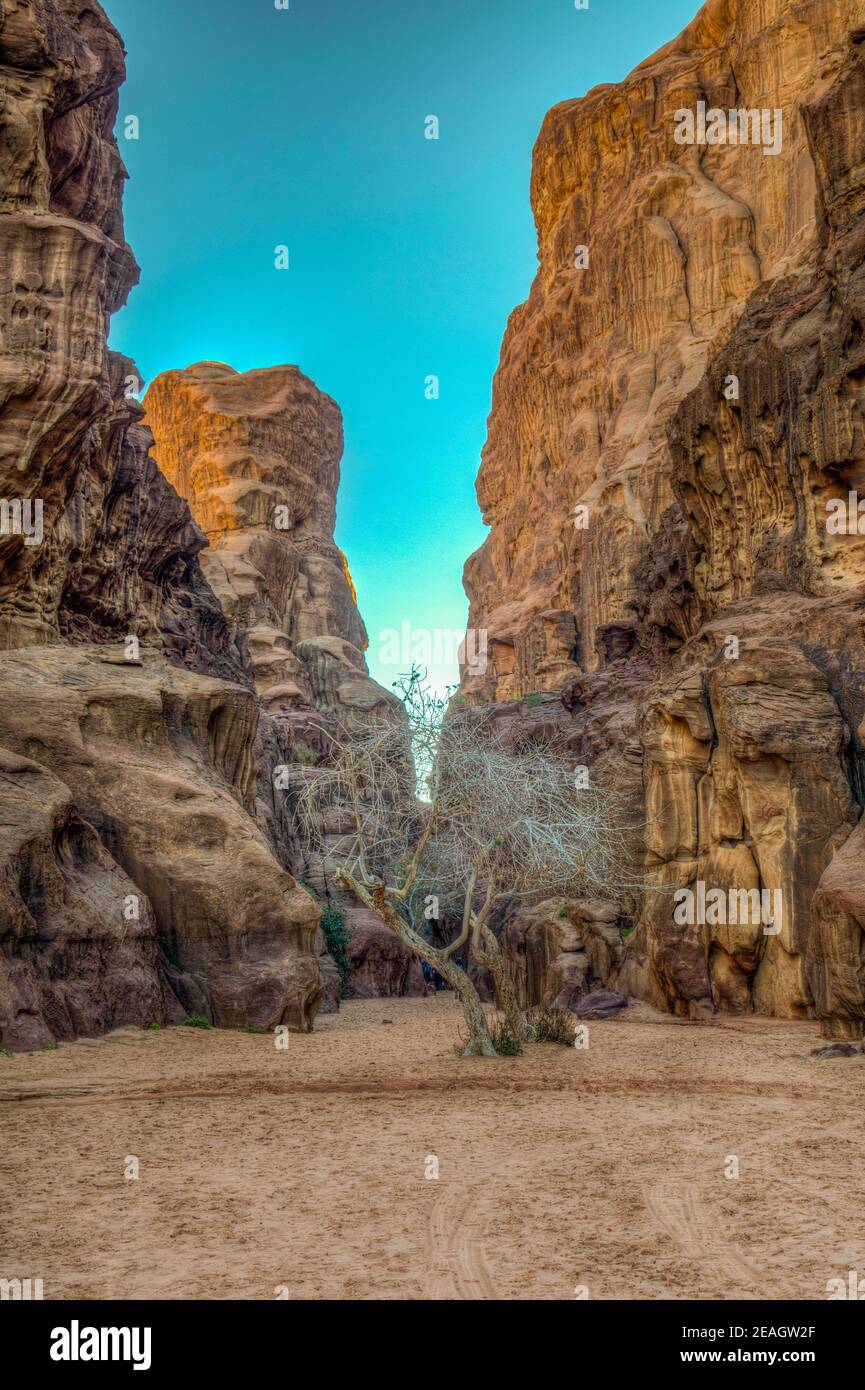 Abu khashaba hi-res stock photography and images - Alamy