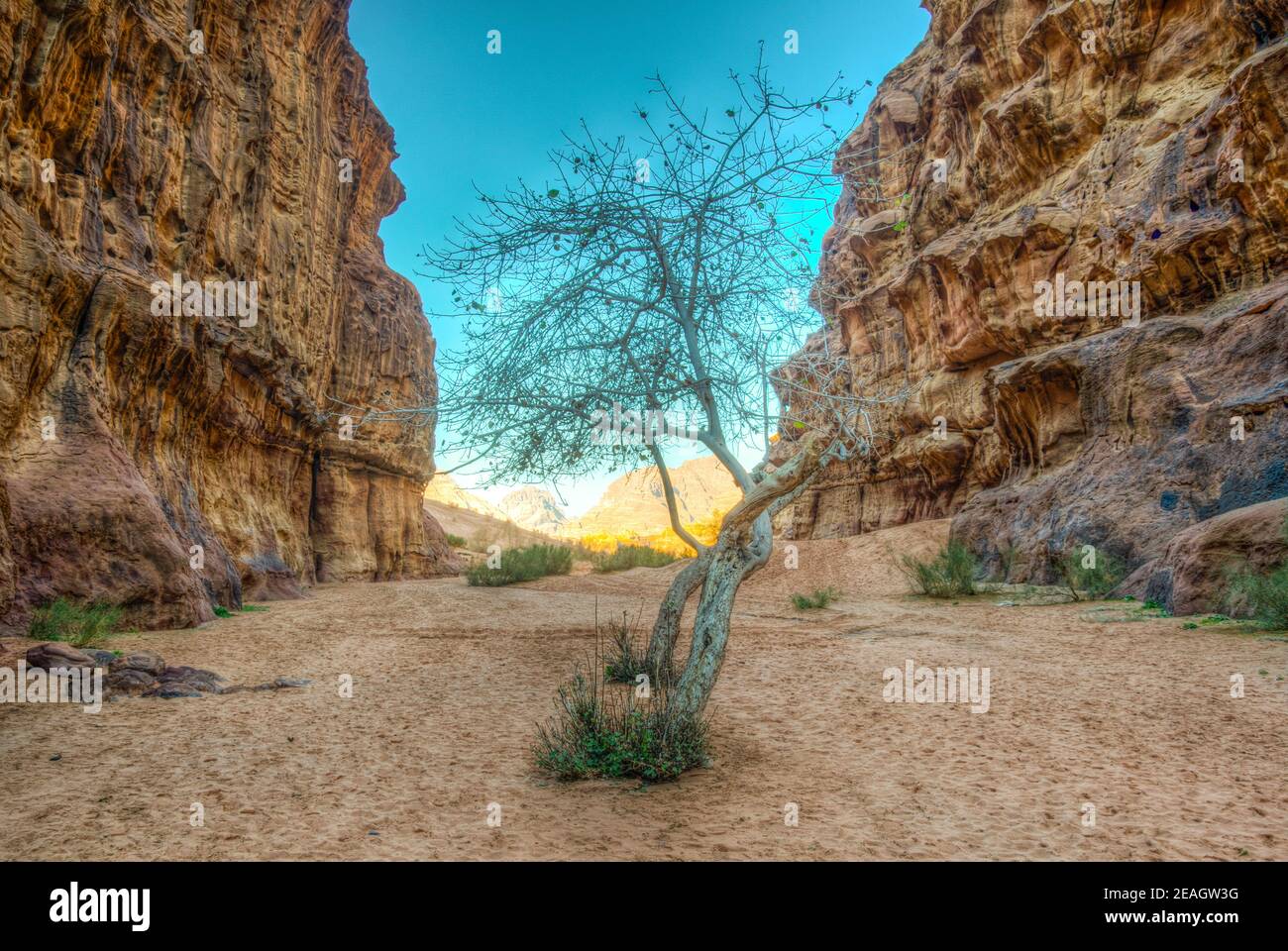 Abu khashaba hi-res stock photography and images - Alamy