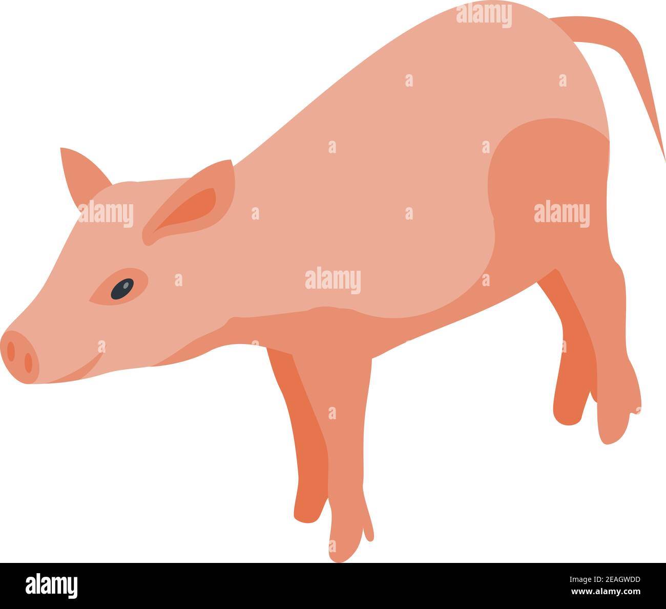 Farm pig icon. Isometric of farm pig vector icon for web design ...