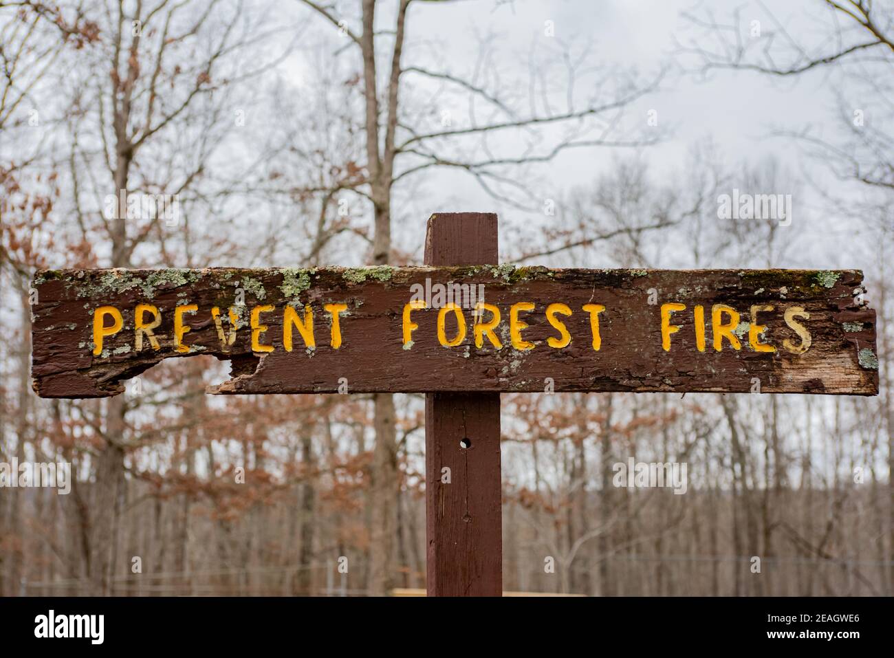 Prevent forest fires hi-res stock photography and images - Alamy