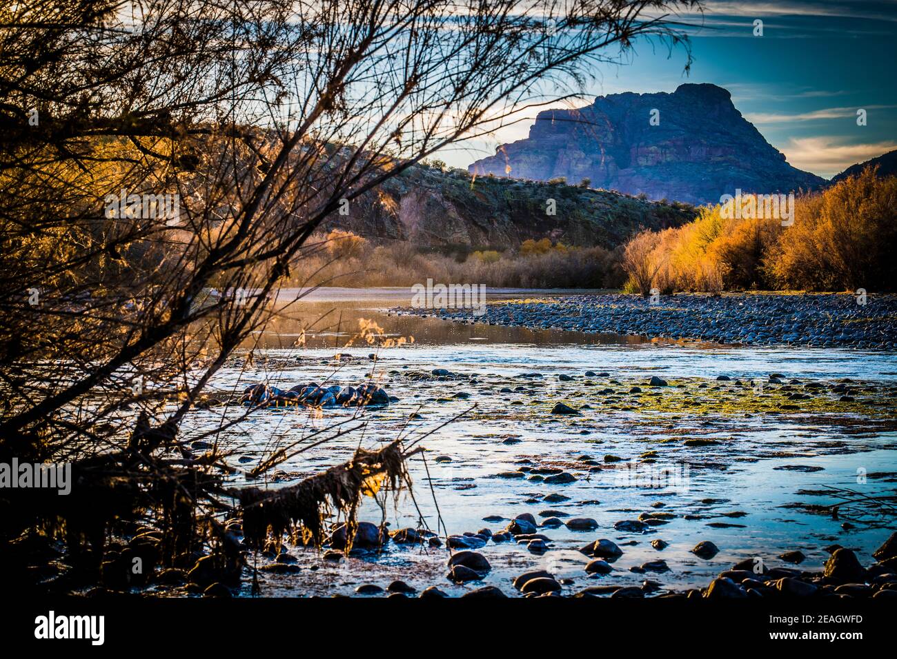 Arizona moss water hi-res stock photography and images - Alamy