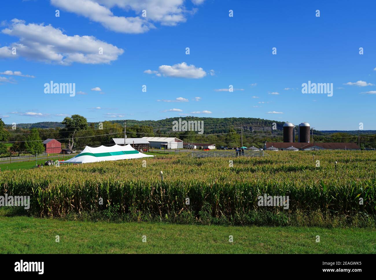 LAMBERTVILLE, NJ –3 OCT 2020- View of the Howell Farm Corn Maze, the ...