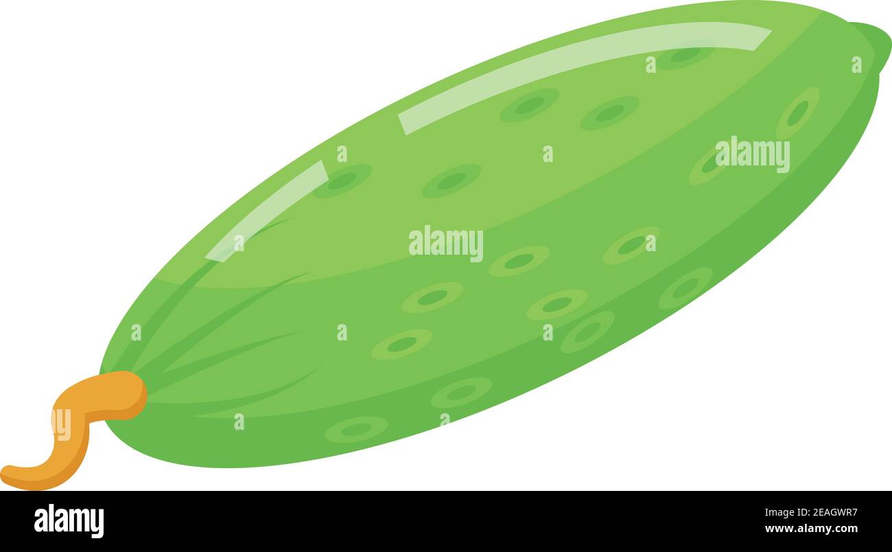 Farm cucumber icon. Isometric of farm cucumber vector icon for web ...