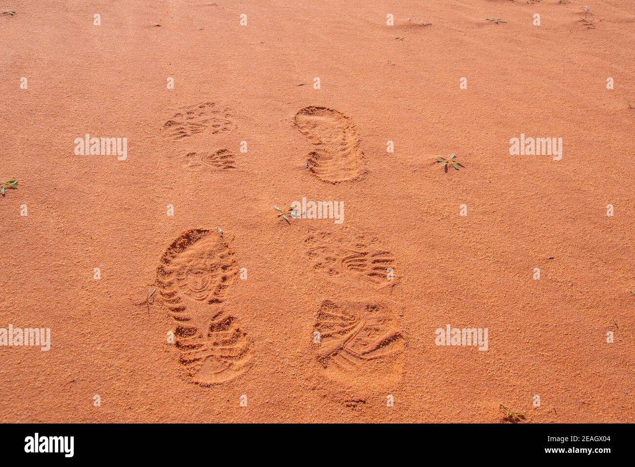 Tracking footprints sand hi-res stock photography and images - Alamy