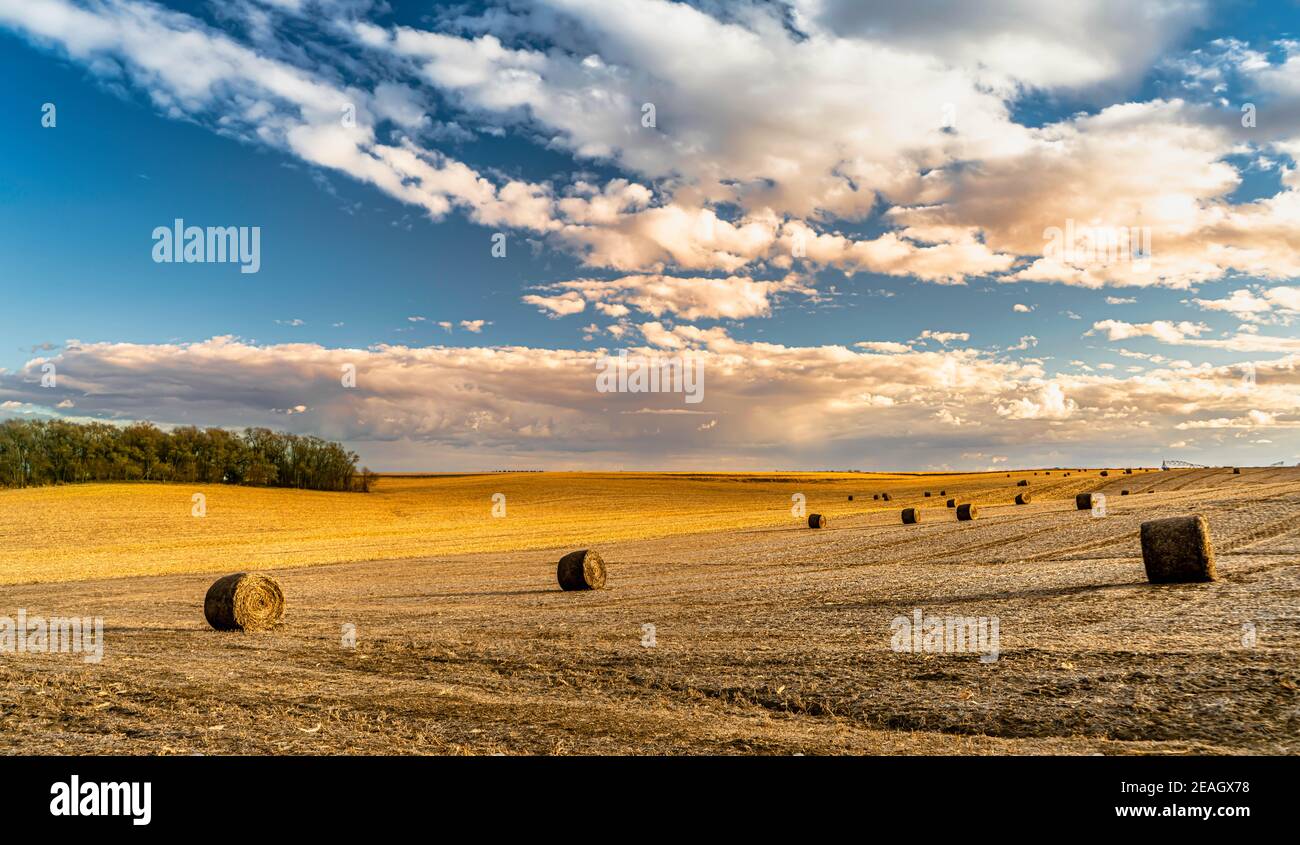 Hay plains hi-res stock photography and images - Alamy