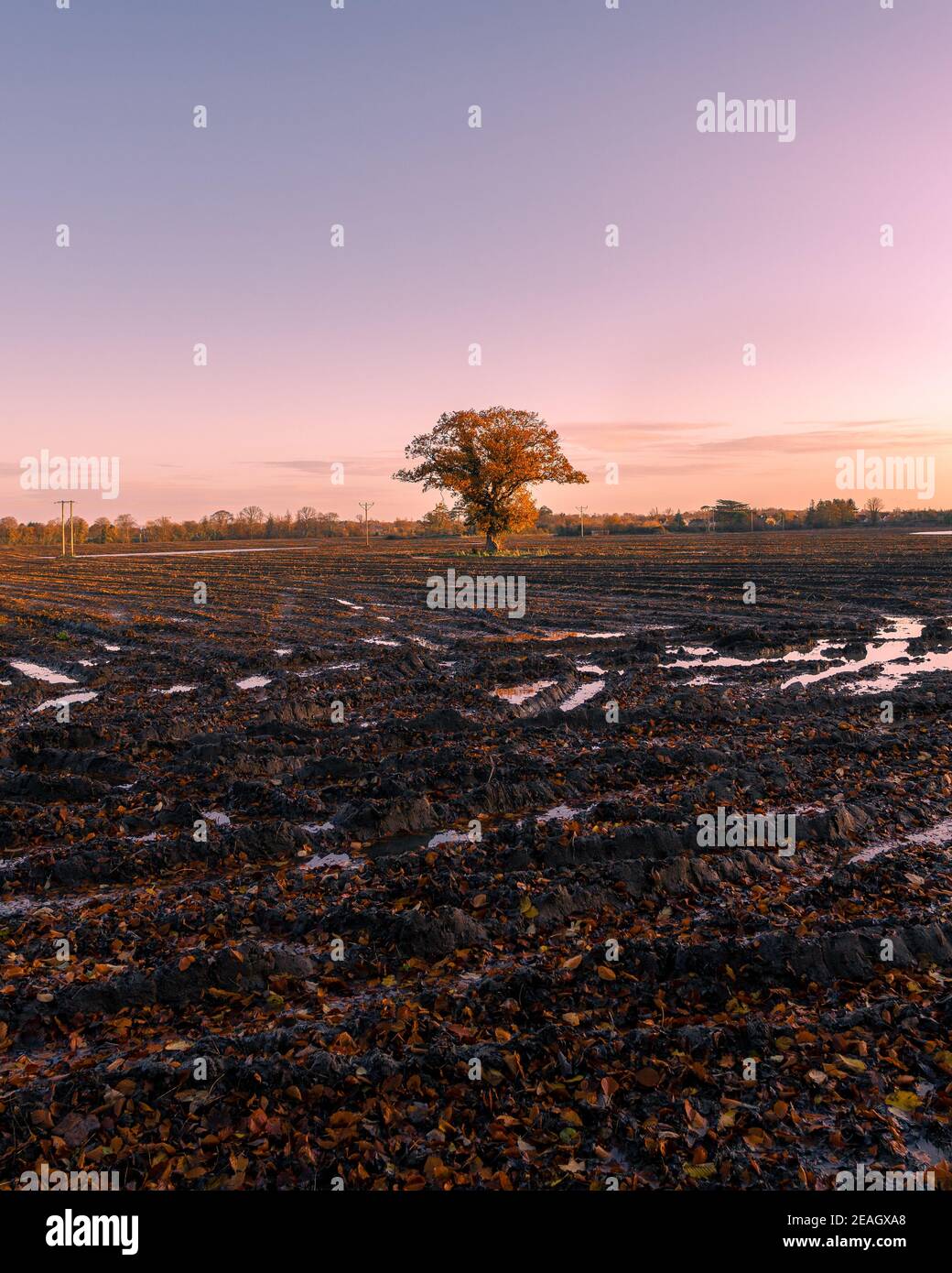 Field night rain hi-res stock photography and images - Alamy