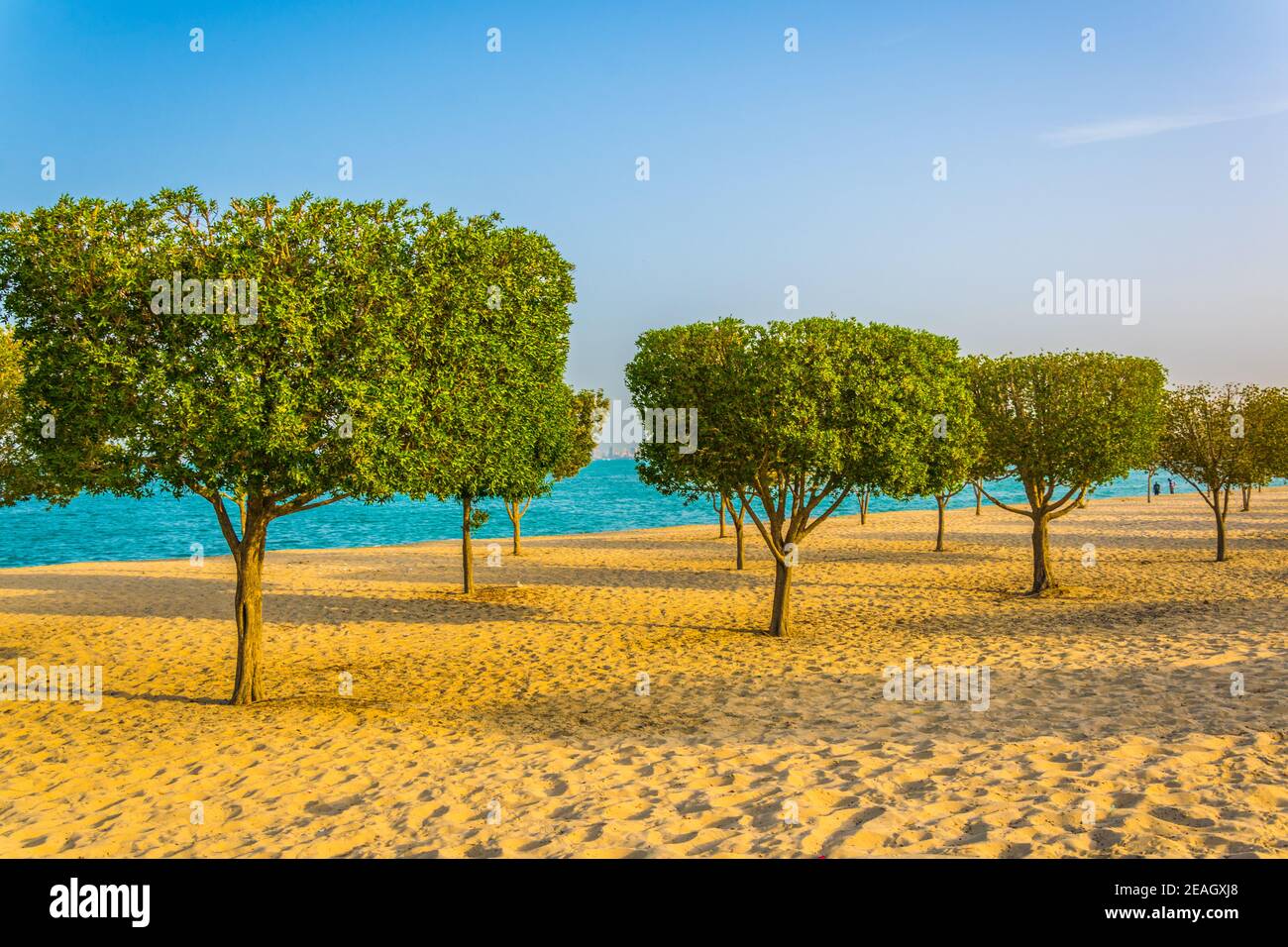 Kuwait beach swimming hi-res stock photography and images - Alamy