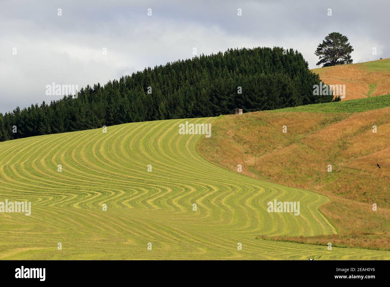 Farm patterns hi-res stock photography and images - Alamy