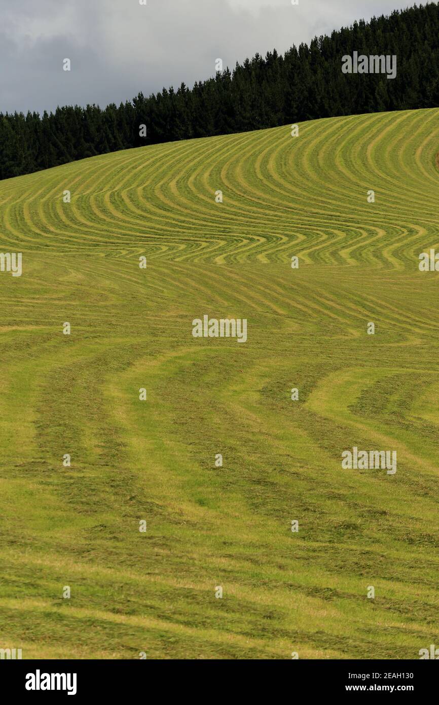 New mown grass hi-res stock photography and images - Alamy