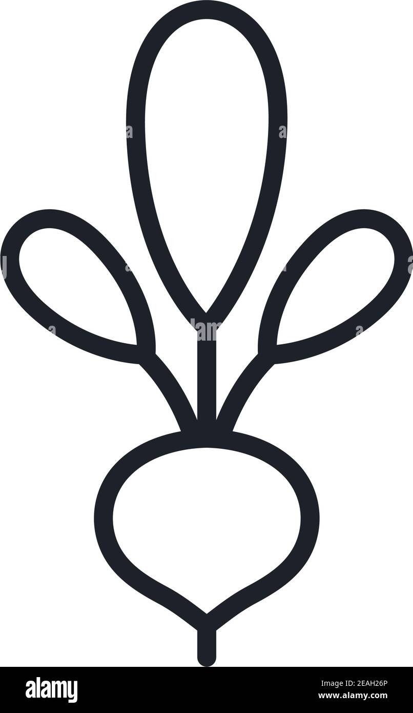 Beetroot icon. Vector linear icon, contour, shape, outline isolated on ...