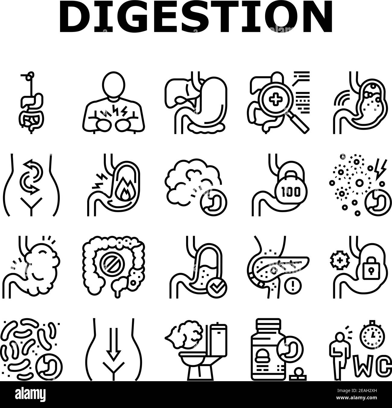 Digestion Disease And Treatment Icons Set Vector Stock Vector Image ...