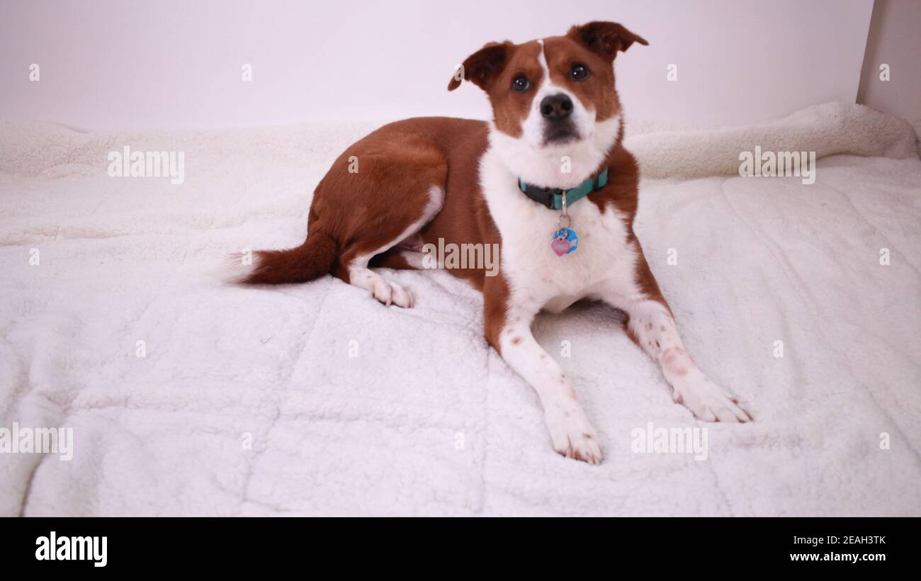 Size mix hi-res stock photography and images - Alamy