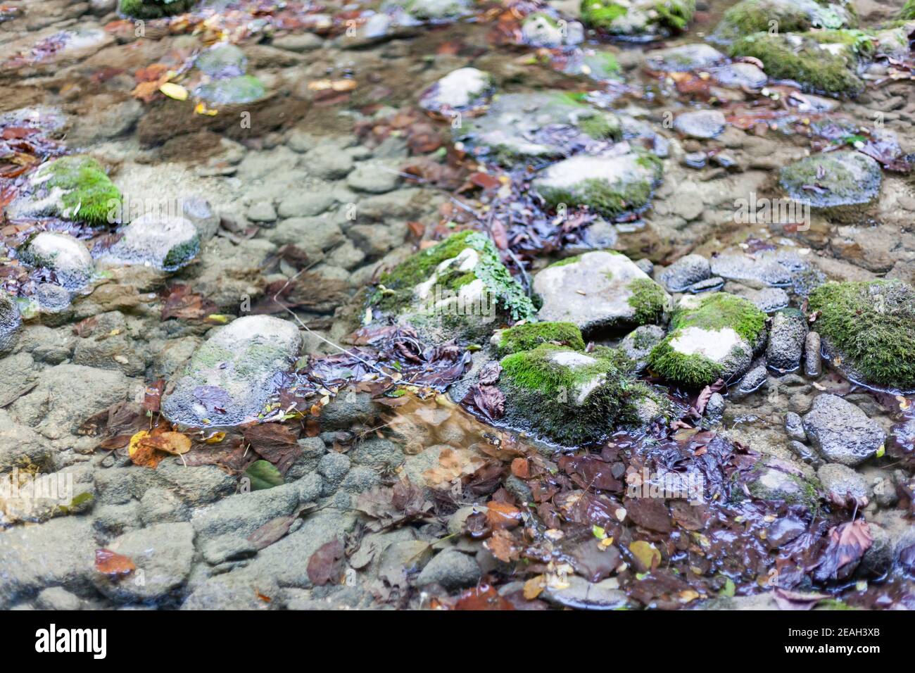 Close up river hi-res stock photography and images - Alamy