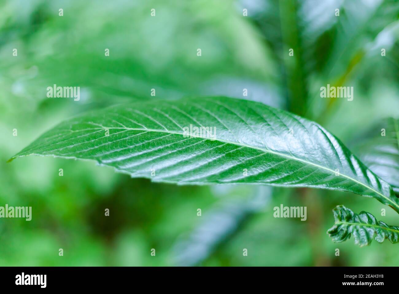 Line up sheet hi-res stock photography and images - Alamy