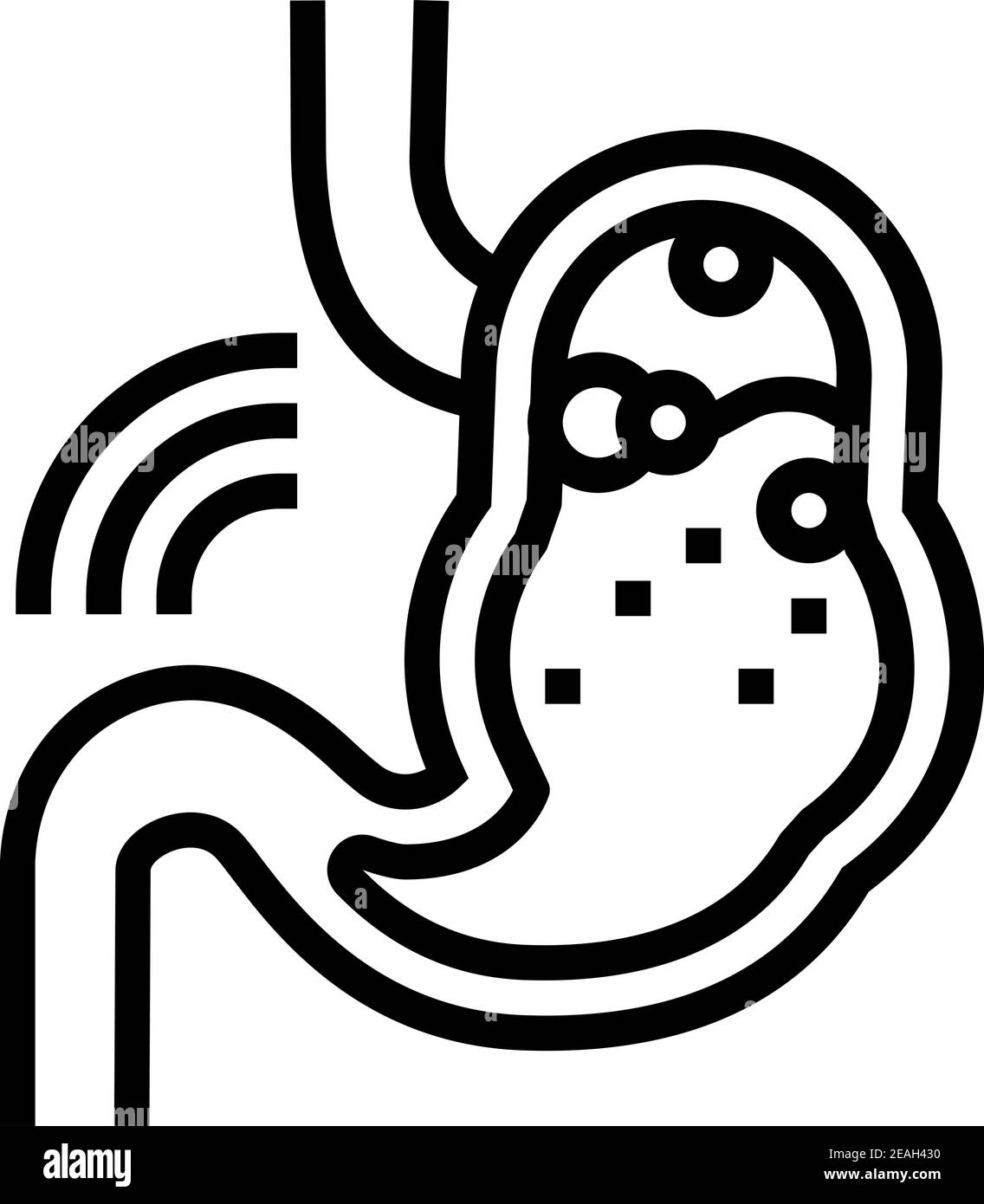 Normal digestion illustration Black and White Stock Photos & Images - Alamy