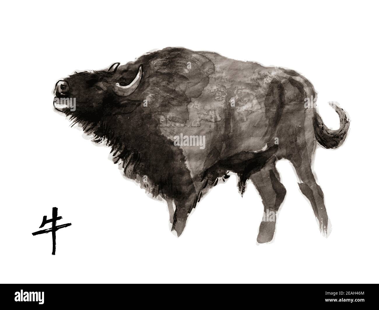 Roaring European bison, vector sumi-e illustration. Oriental ink wash ...