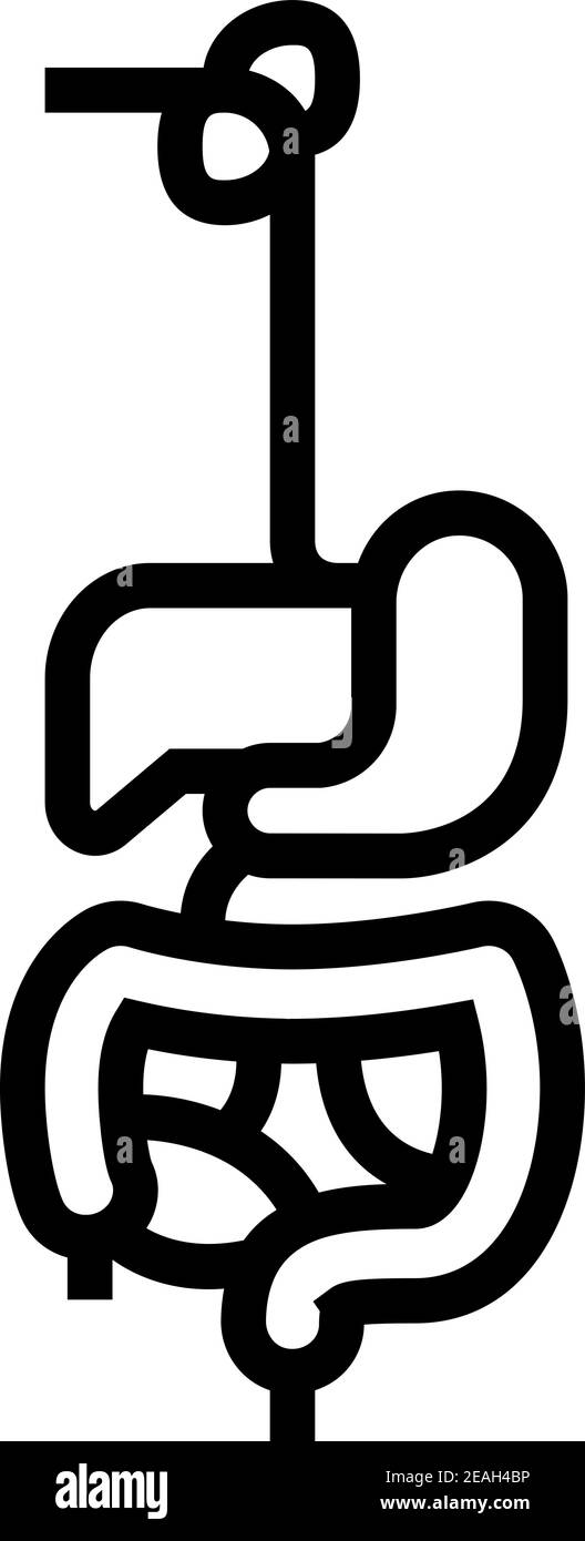digestive system line icon vector illustration Stock Vector Image & Art ...