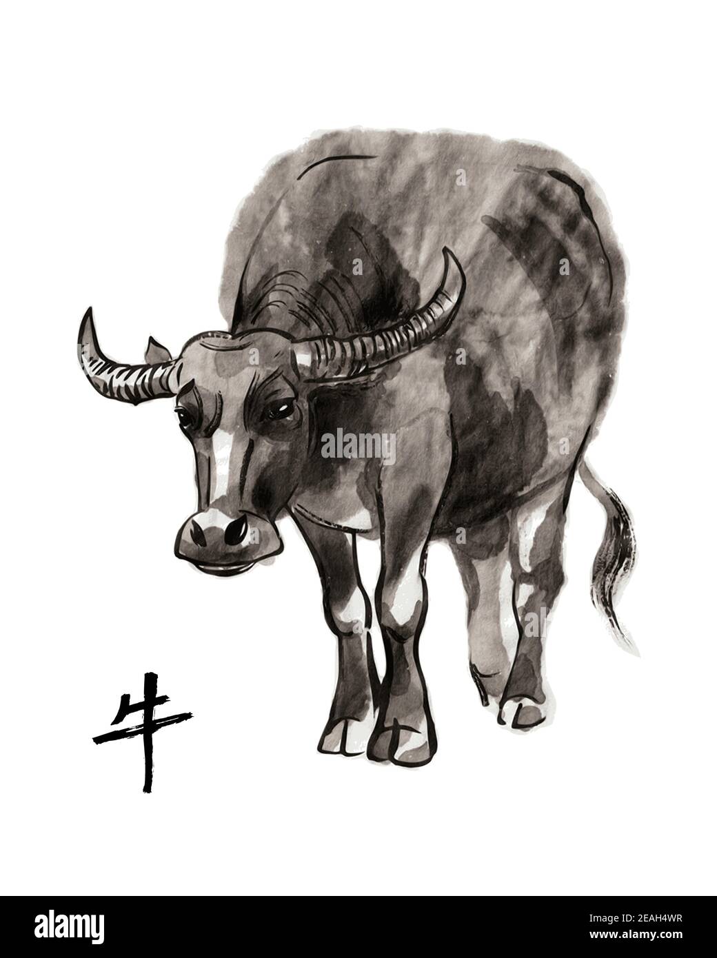 Japanese water buffalo Cut Out Stock Images & Pictures - Alamy