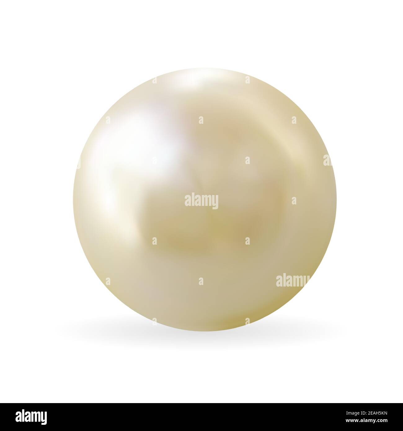 Realistic 3D Pearl isolated on white background. Vector Illustration ...