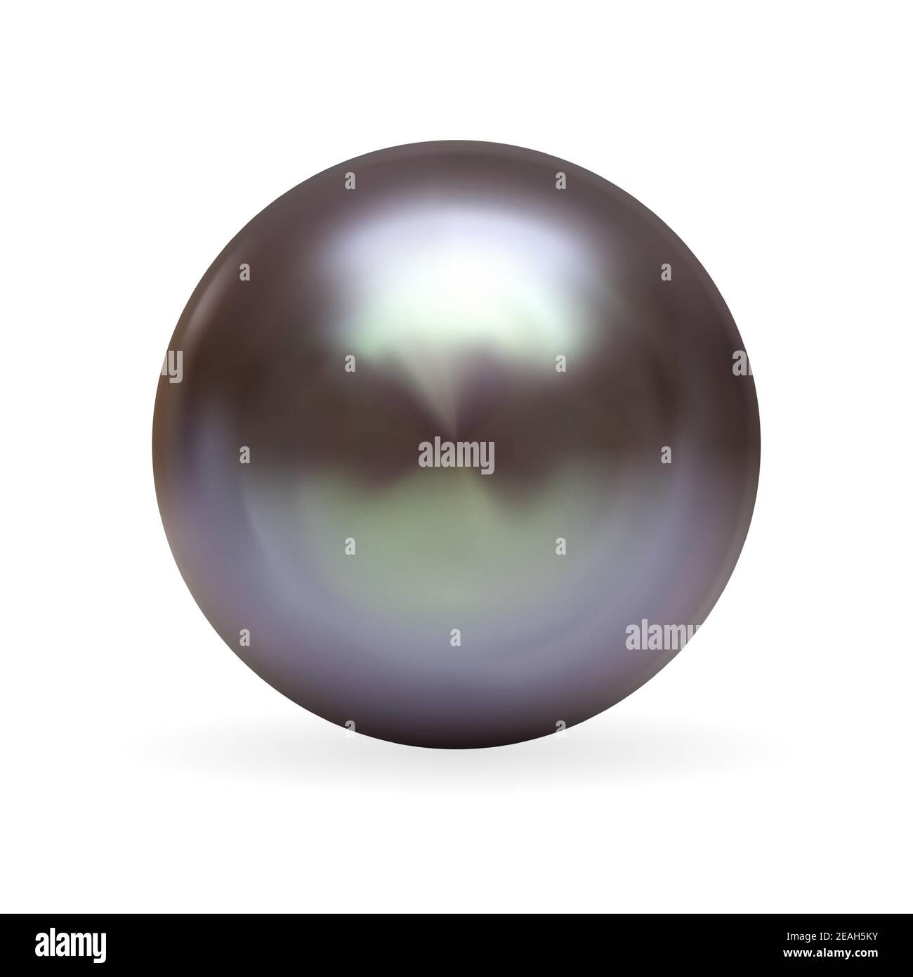 Realistic 3D Pearl isolated on white background. Vector Illustration ...