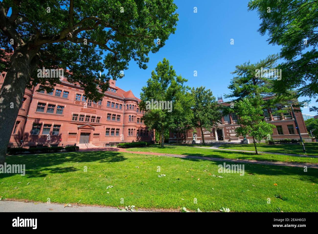 Sever Hall and Robinson Hall in Old Harvard Yard in Harvard University ...