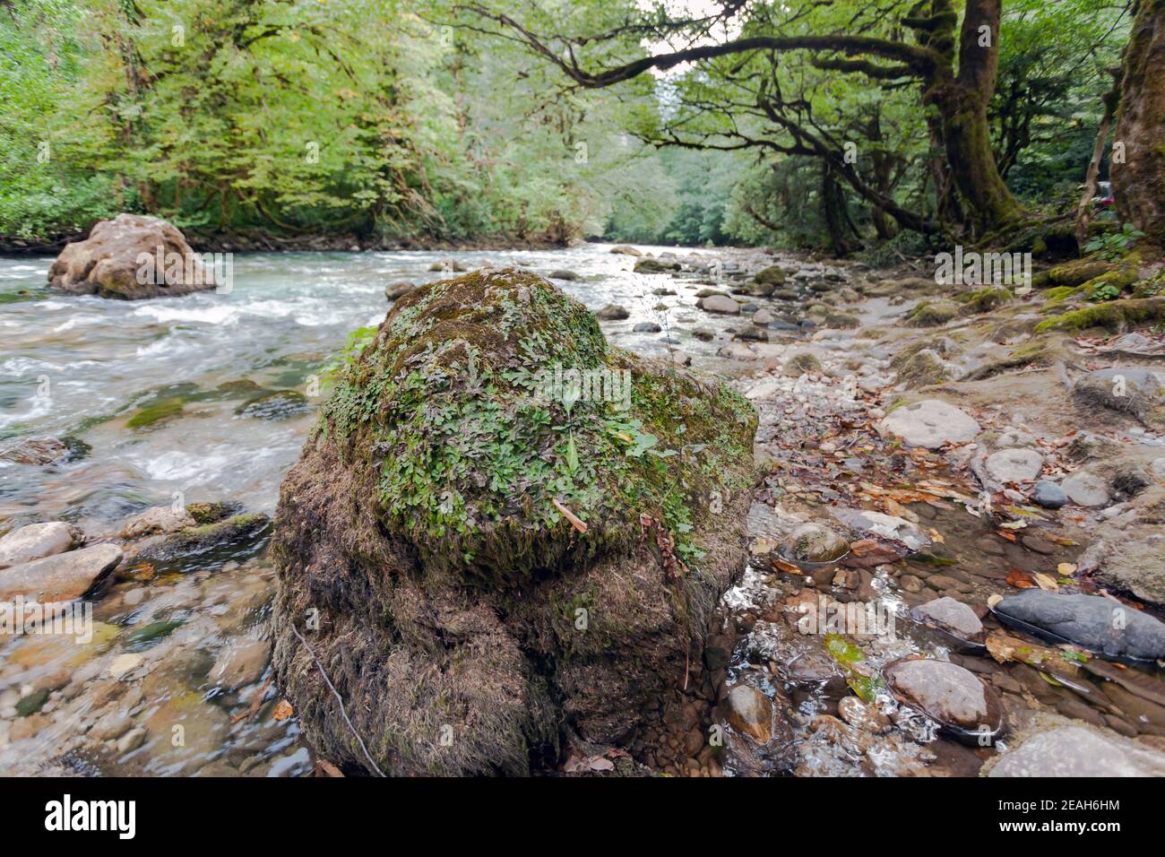 Big stone in river hi-res stock photography and images - Alamy