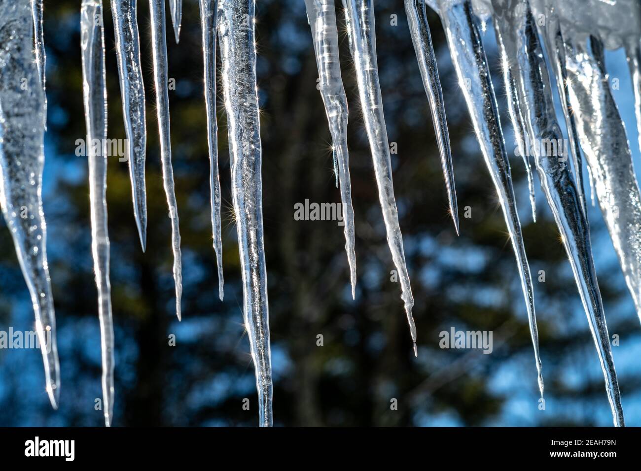 Connecticut, USA, 8 February 2021 - Icecles hanging from the roof of a ...