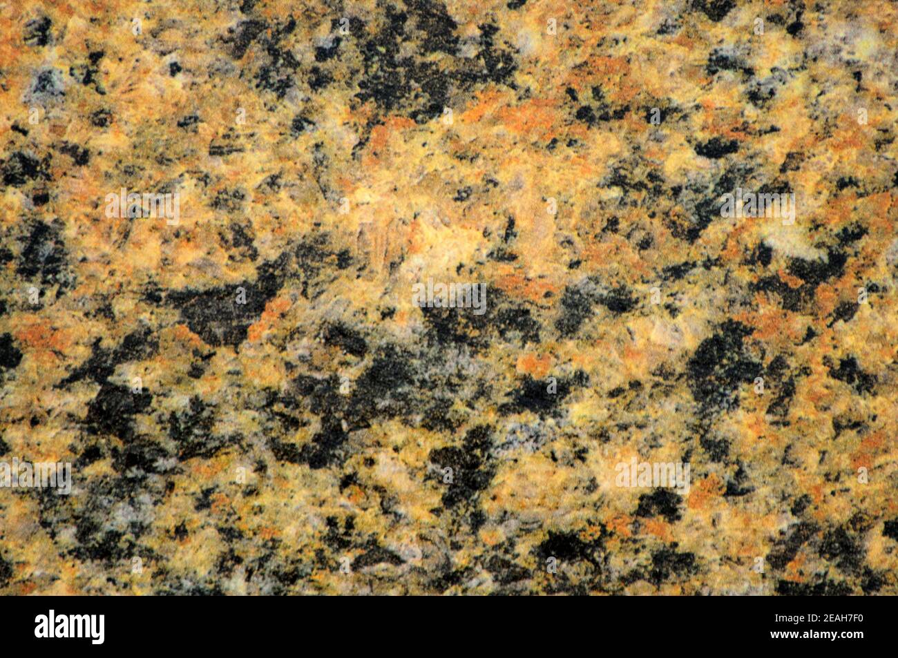 Dark yellow granite with small inclusions of black color, close-up of a ...