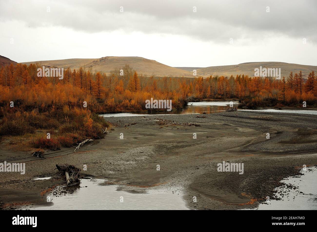 A shallow river flowing into a flat valley surrounded by yellowed ...