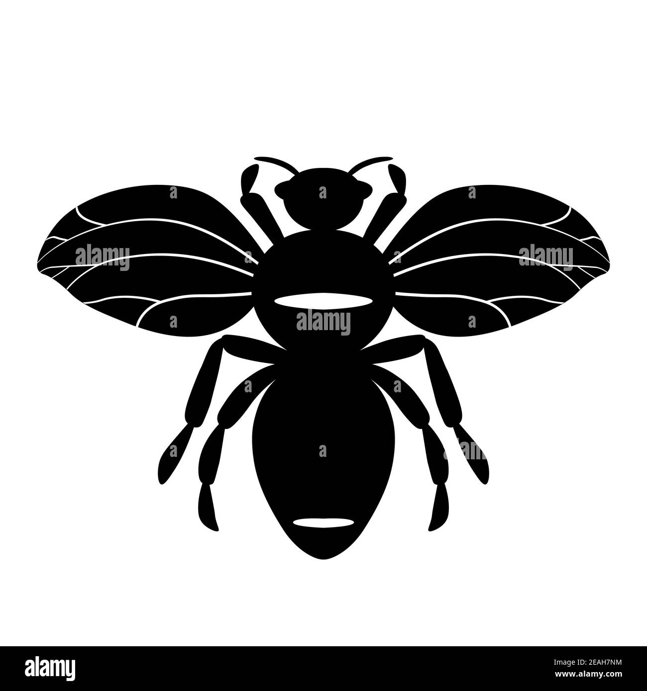 Cartoon cute bee mascot. Bee flies. Small wasp. Outline black logo ...