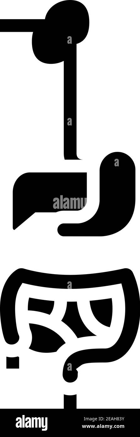 digestive system glyph icon vector illustration Stock Vector Image ...