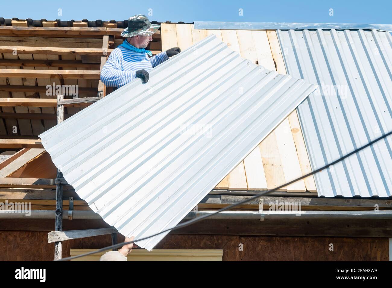 two people, carpenters, builders, lay a galvanized sheet of iron on the ...