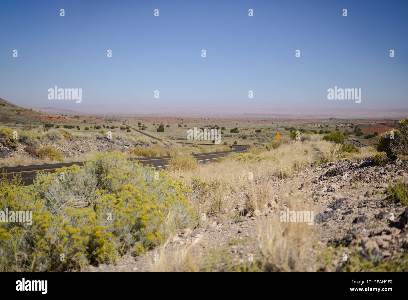 Open road into the Arizona desert Stock Photo - Alamy