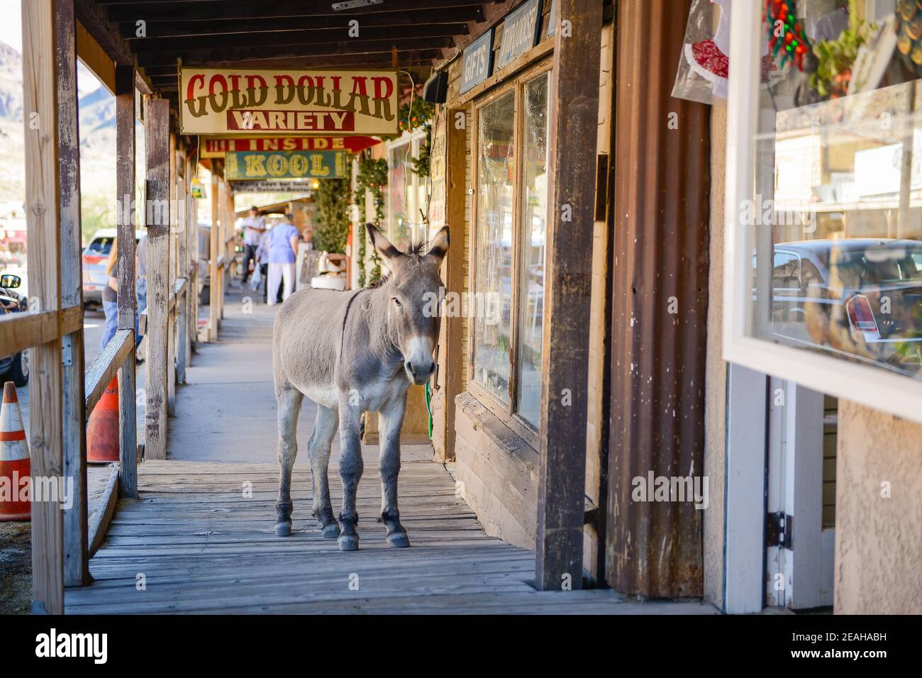Mule oatman hi-res stock photography and images - Alamy