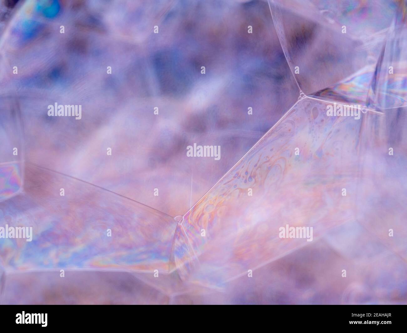Close-up view of soap bubbles. Macro shot soap foam structure with soft ...
