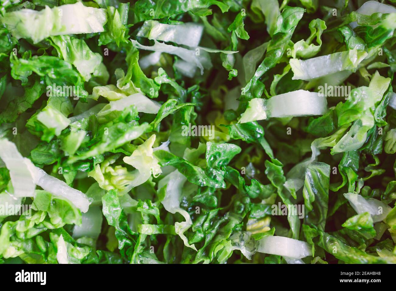 close-up on chopped baby cos lettuce in bowl, healthy ingredients and ...