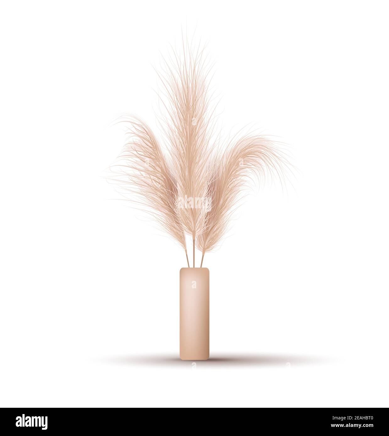 Pampas grass in vase. Dried floral ornament elements in boho style ...
