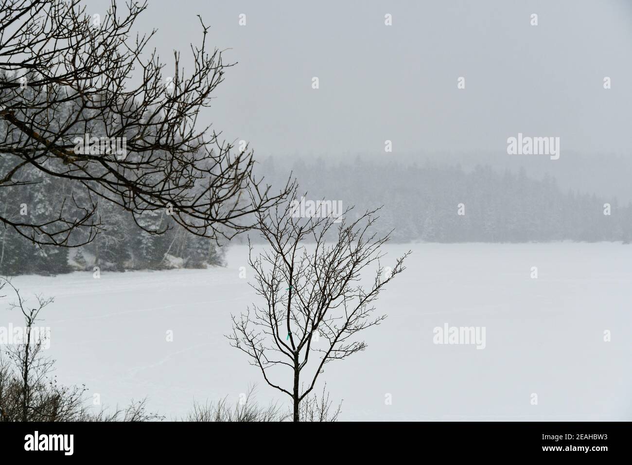 Photo of a scene in ontario hi-res stock photography and images - Alamy