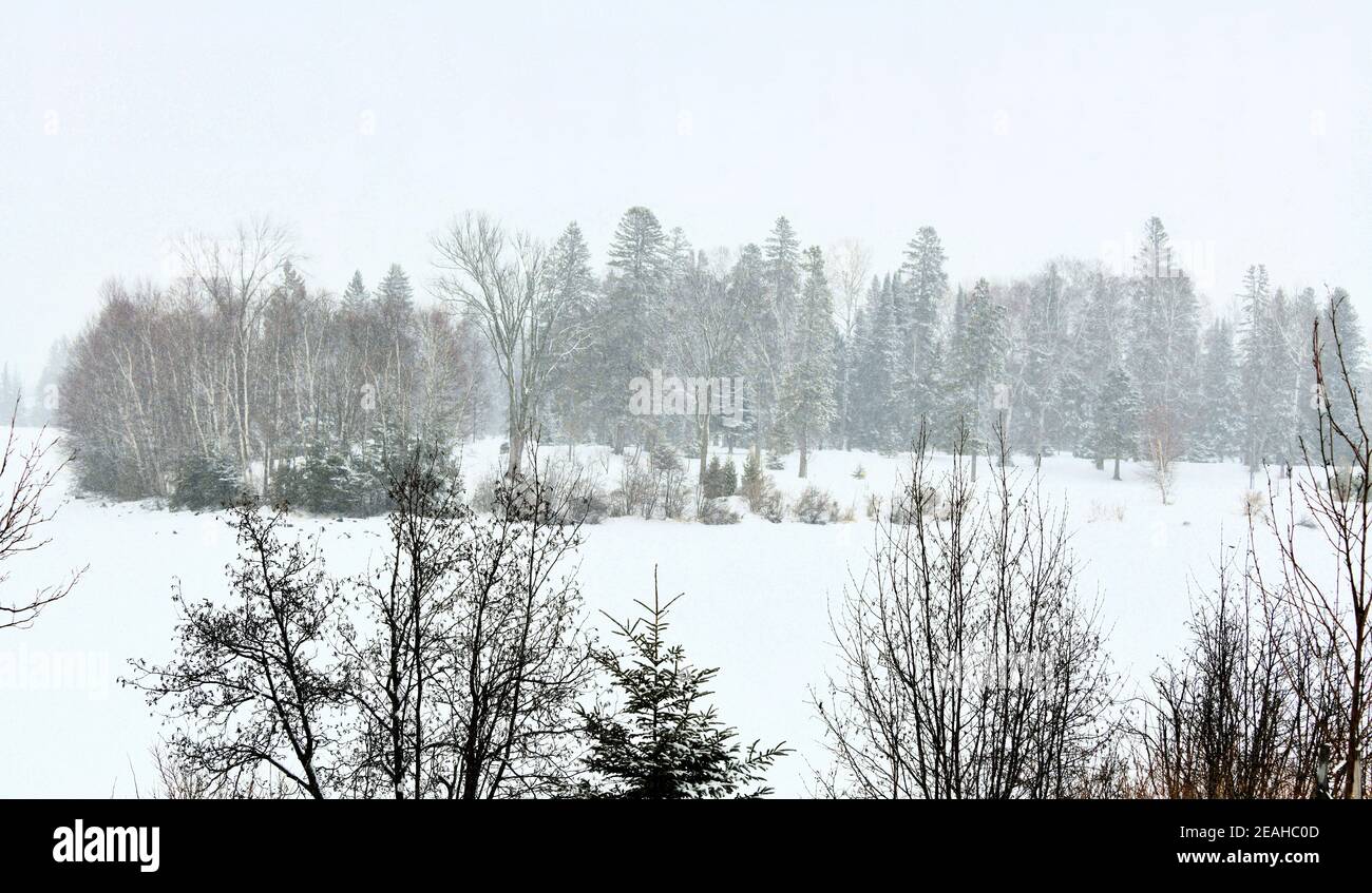 A cloudy, snowy day by Boulevard Lake, in Thunder Bay, Ontario, Canada ...