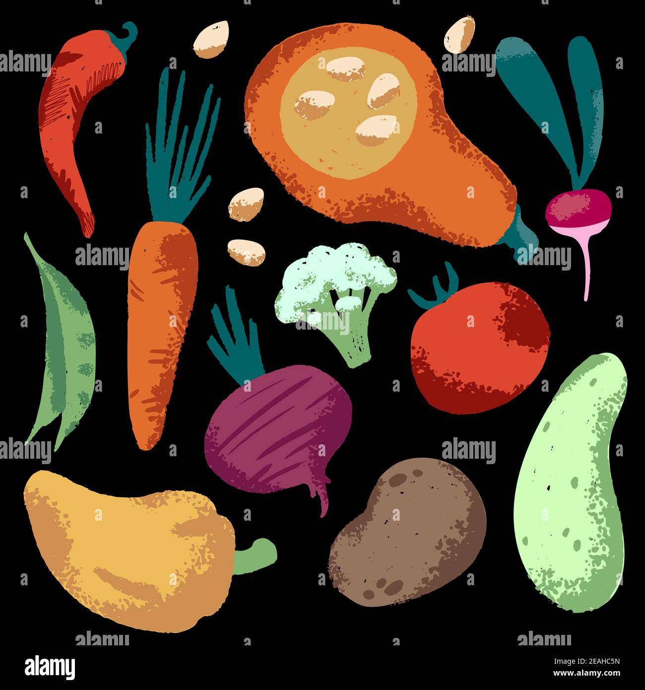 Textured vegetable handdrawn illustration on black background. Radish ...