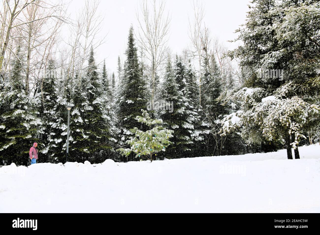Beauty walking on a snowy day hi-res stock photography and images - Alamy