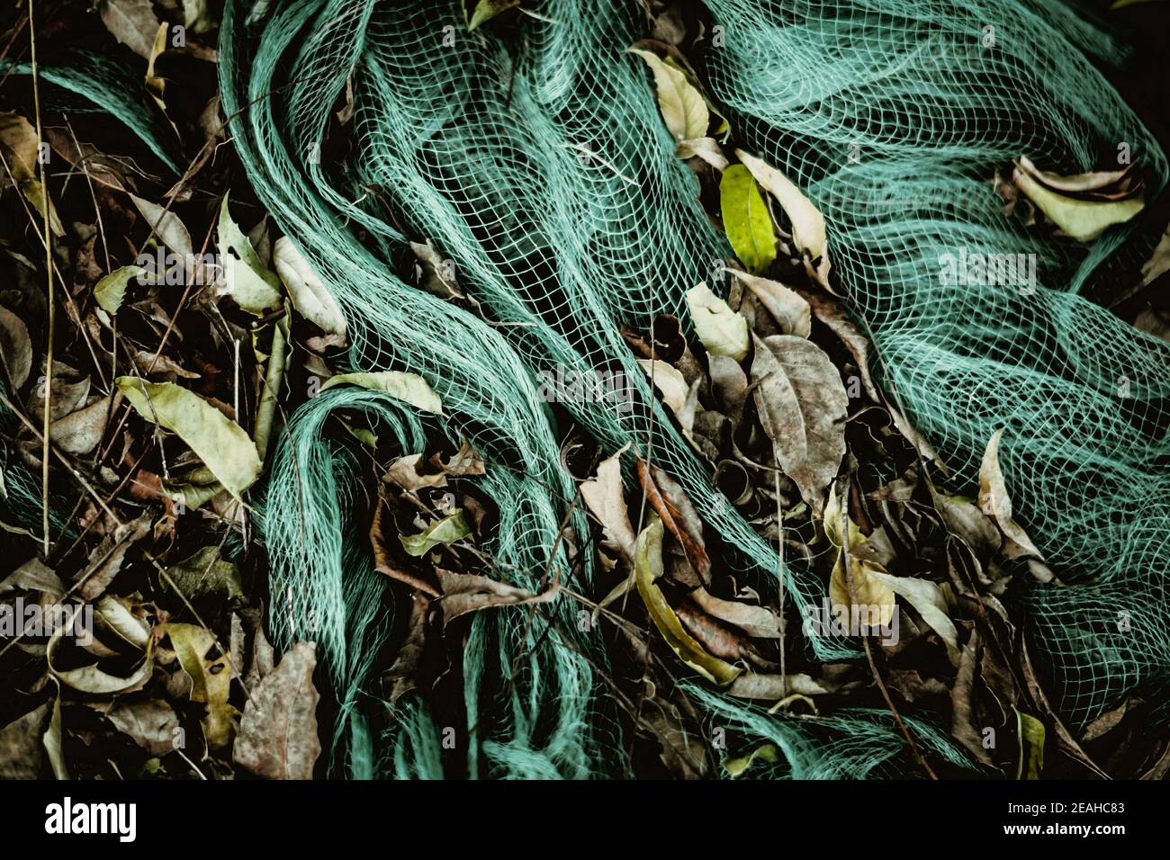 Close-up view of green nylon multi colorful bright fish nets in a pile ...