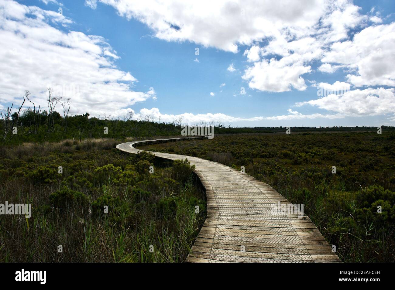 Australian coastal marshes hi-res stock photography and images - Alamy