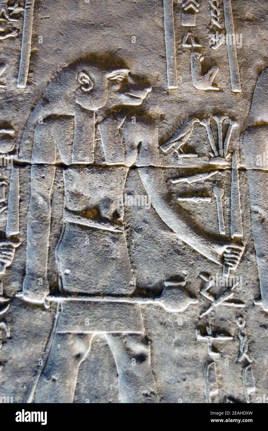 Ancient Egyptian hieroglyphic carving of the baboon headed god Baba ...