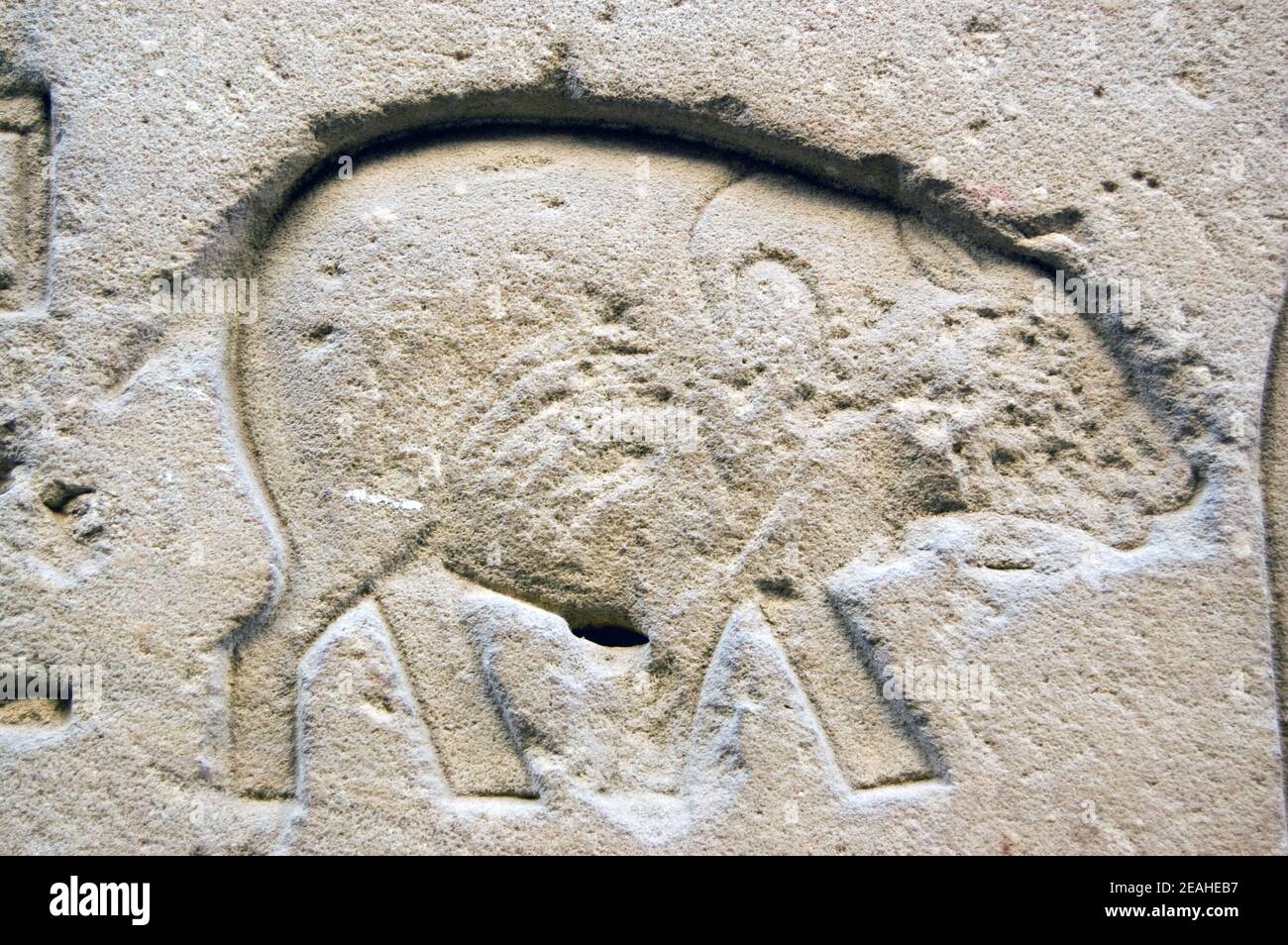 Seth egypt god hi-res stock photography and images - Alamy