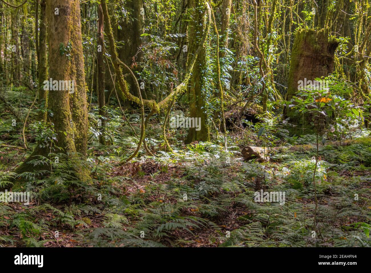 Upper hunter region hi-res stock photography and images - Alamy