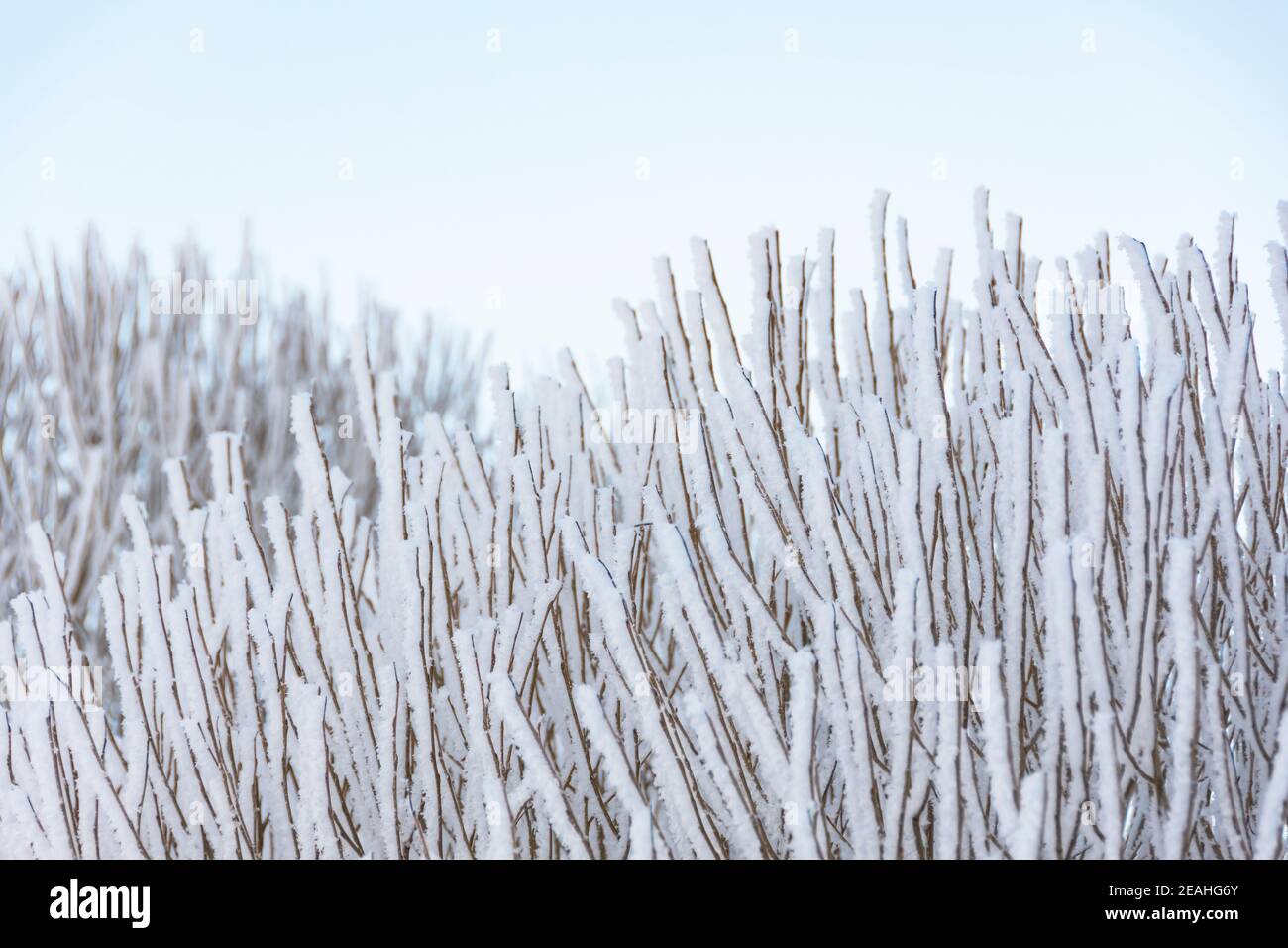 Night heavy frost hi-res stock photography and images - Alamy