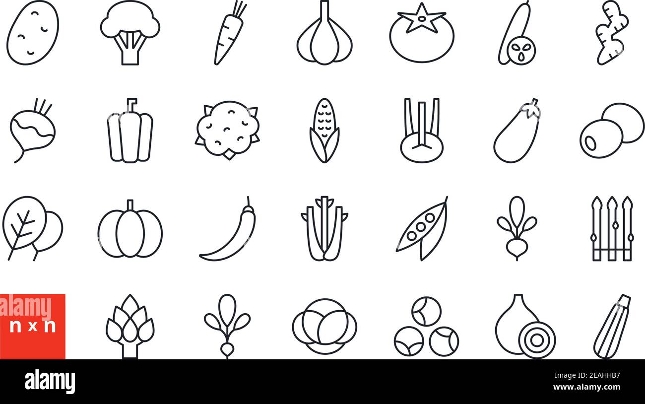 Set of vector linear icons. Vegetables. Contour, shape, outline. Thin ...
