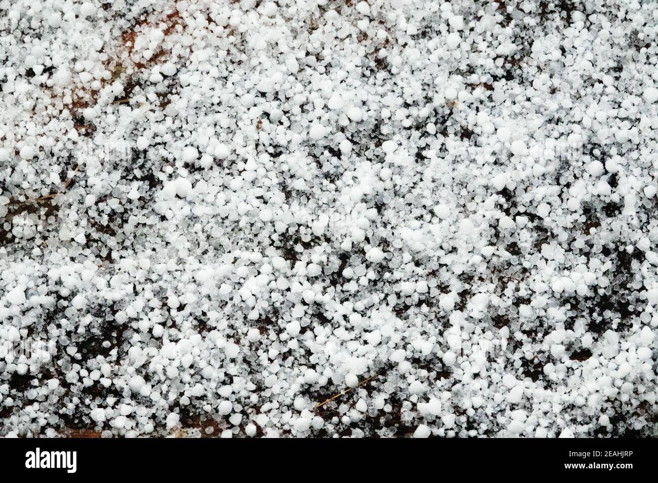 Meteorology. Tapioca snow (graupel, powder snow). Large round dense ...